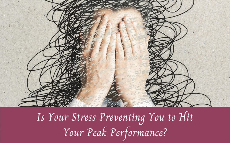HIT Peak Performance: NAVIGATE YOUR STRESS - Ask Dr Annika